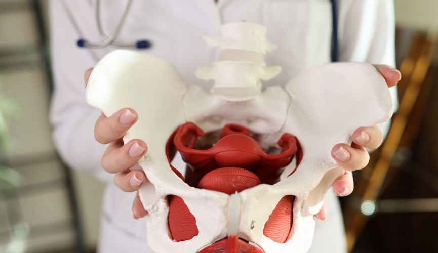 Prolapso de órgano pélvico, síntomas y tratamiento